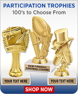 Economy & Participation Trophies