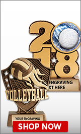 Volleyball Trophies - Volleyball Medals - Volleyball Plaques and Awards