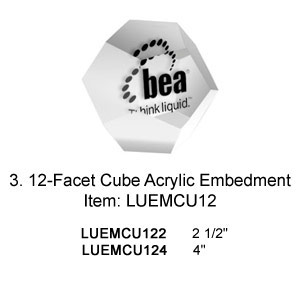 Custom Acrylic Embedment Awards | Lucite Embedments