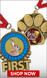 Animal Trophies | Animal Medals | Animal Plaques and Awards