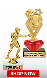 Boxing Trophies - Boxing Medals - Boxing Plaques and Awards