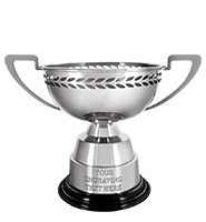 Cup Trophies | Participation Cup Trophies | Achievement Trophies