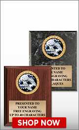 Robotics Trophies | Robotics Medals | Robotics Plaques and Awards