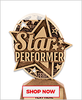 Star Performer Trophies | Star Performer Medals | Star Performer ...