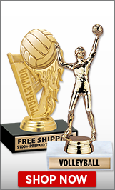Volleyball Trophies - Volleyball Medals - Volleyball Plaques and Awards
