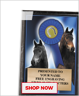 Horse Trophies | Horse Medals | Horse Plaques and Awards