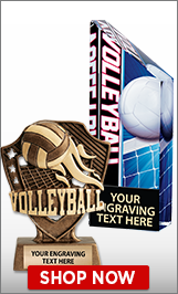 Volleyball Trophies - Volleyball Medals - Volleyball Plaques and Awards
