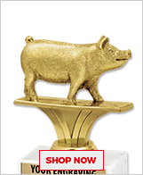 Pig Trophies | Pig Medals | Pig Plaques and Awards