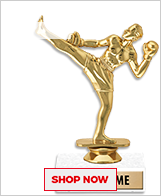 Kickboxing Trophies | Kickboxing Medals | Kickboxing Plaques and Awards