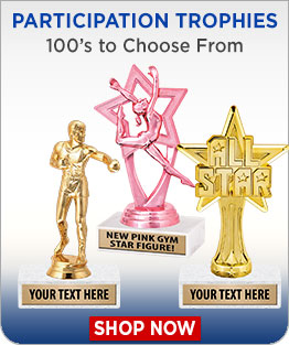 Economy & Participation Trophies