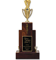 Perpetual Trophies