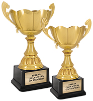 Cup Trophies | Participation Cup Trophies | Achievement Trophies
