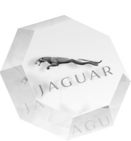 Custom Acrylic Embedment Awards | Lucite Embedments