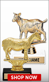 Goat Trophies - Goat Medals - Goat Plaques and Awards