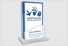 Custom Cut Acrylics | Acrylic Awards | Custom Acrylic Embedments