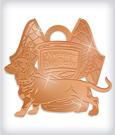 Custom Community Event Medals | Custom Event Medals